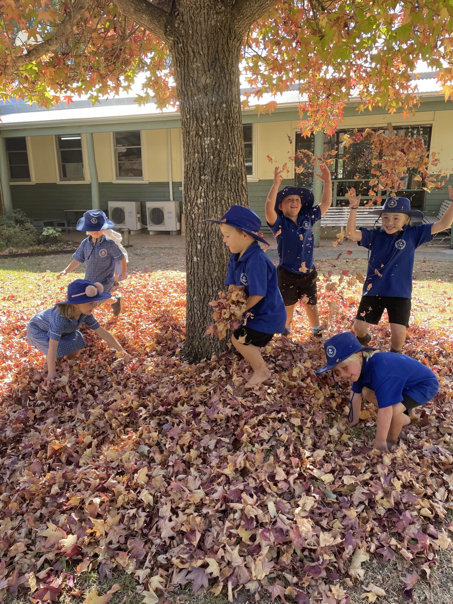 School Vision - Karridale Primary School